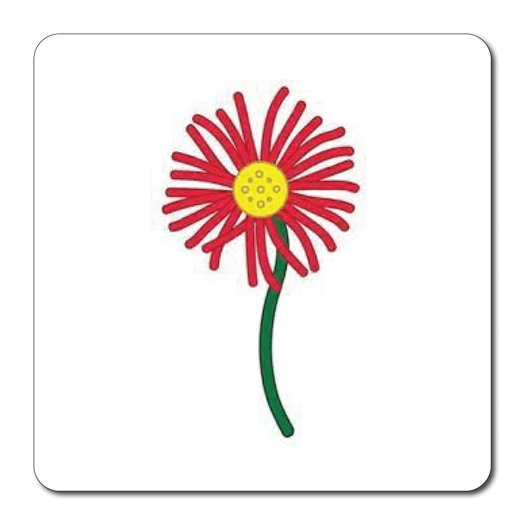 SuperSport Schools Plus | Blue Bulls Results - 2024