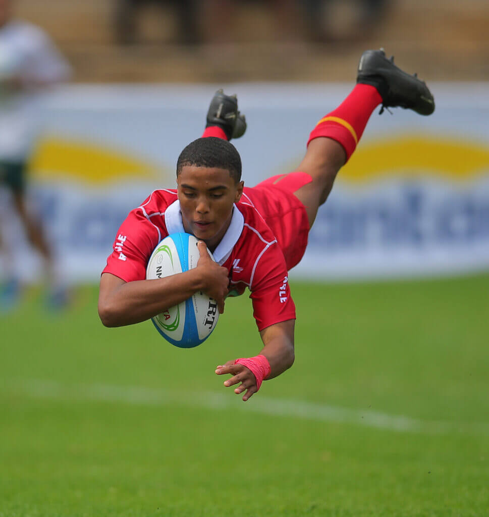 SuperSport Schools Plus | Donkies wiks Framesby, Milnerton baas in ...